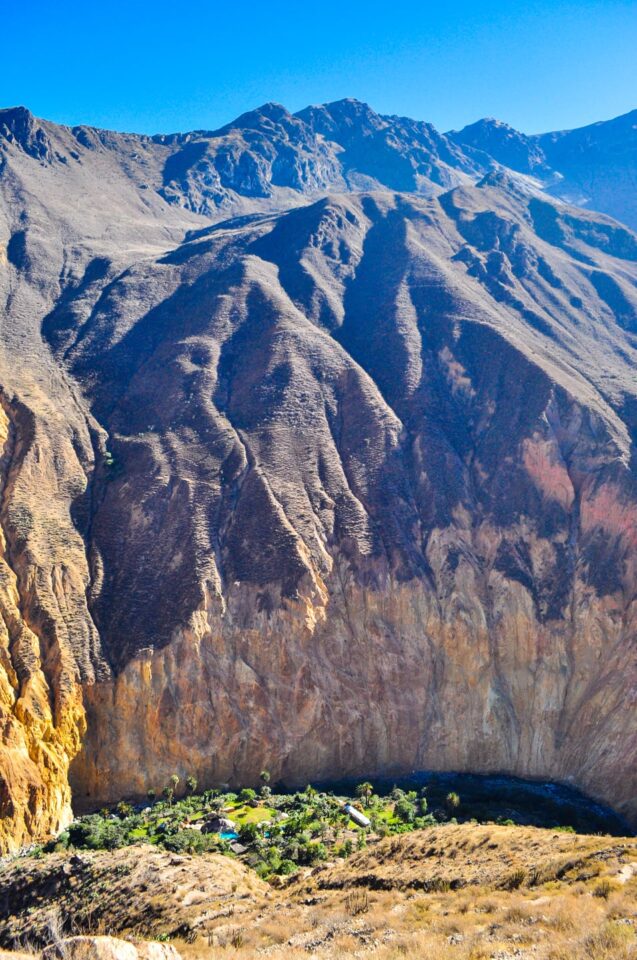 Colca Canyon Trek: Detailed Guide + What to Expect