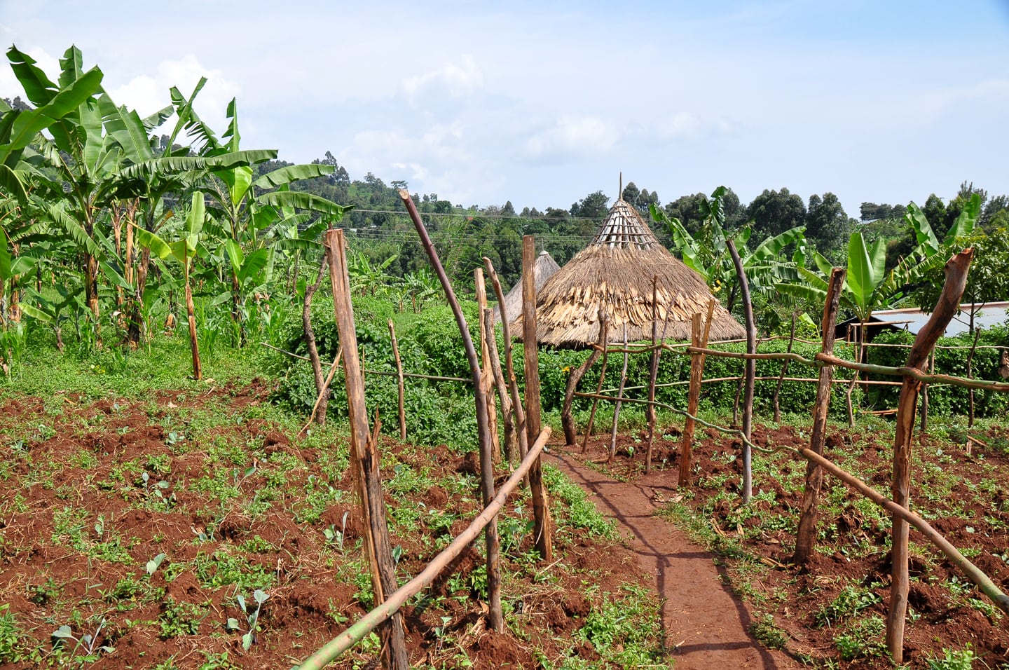 Sipi Falls Visitor Guide | Self-Guided Hikes | Top Tours + Stays Sipi Falls Visitor Guide | Self-Guided Hikes | Top Tours + Stays