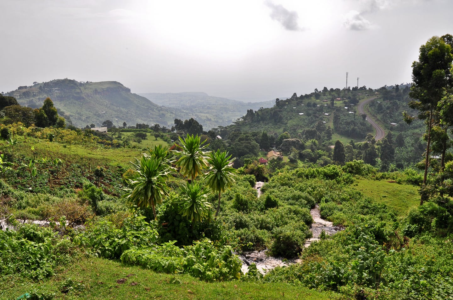Sipi Falls: First-Hand Guide to Hiking Eden in Uganda Sipi Falls: First-Hand Guide to Hiking Eden in Uganda