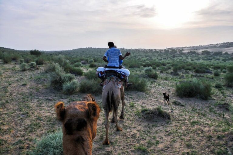 Khuri Sand Dunes (Jaisalmer): Why Visit & What to Expect