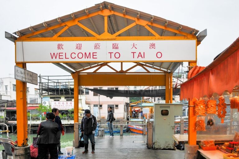 Tai O Fishing Village: Our Favorite Things to See & Do