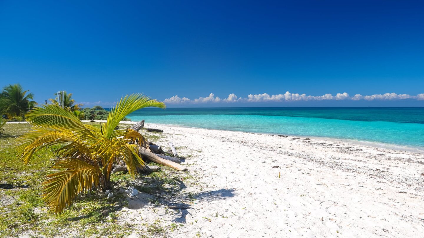 Lime Caye, Belize | The Ultimate Off-Grid Island Escape