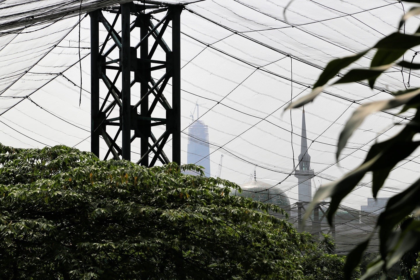 Visiting KL Bird Park, the World's Largest Aviary – AwayGoWe.com