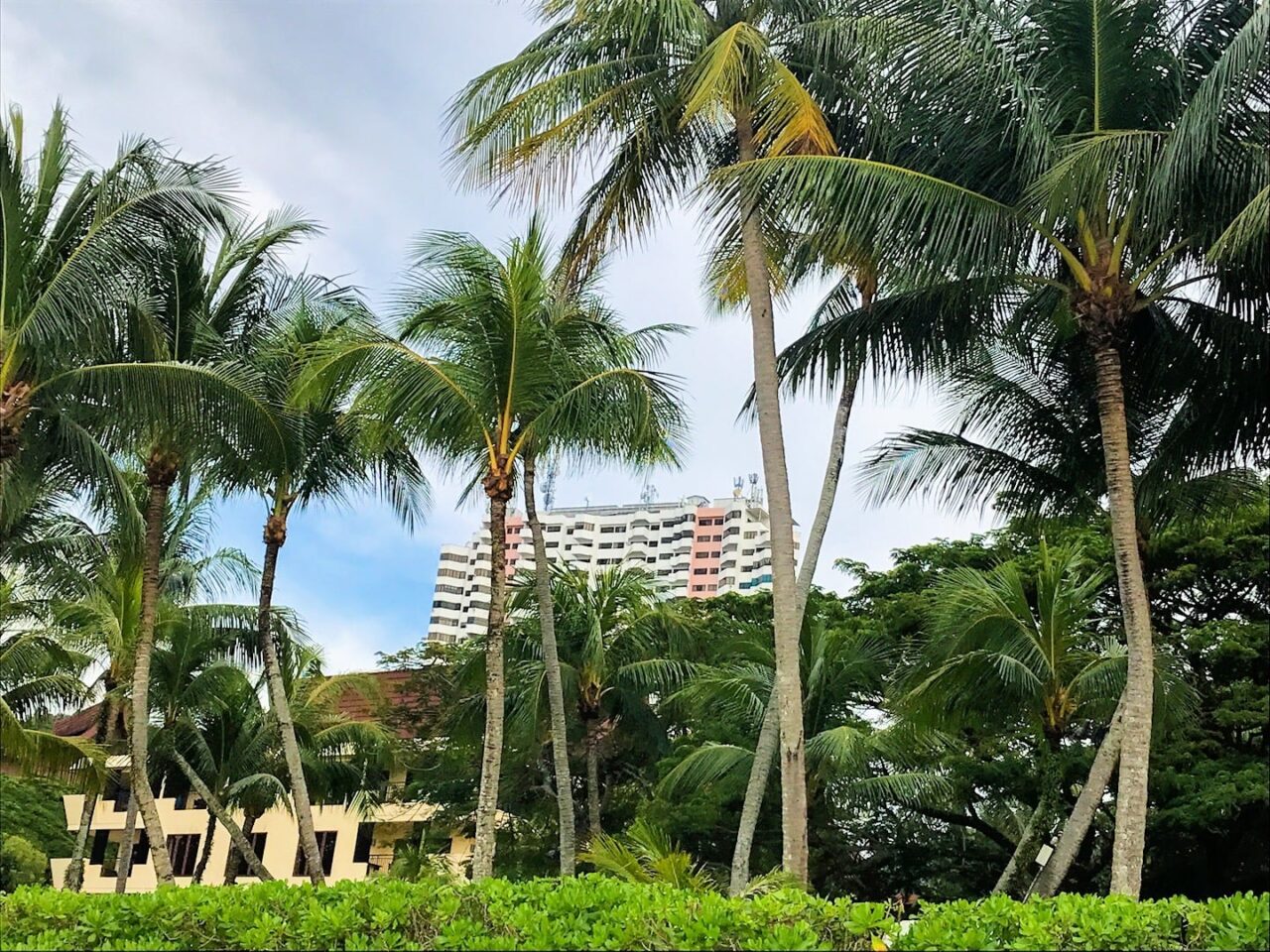 Batu Ferringhi Beach Penang: What to Expect from Your Visit