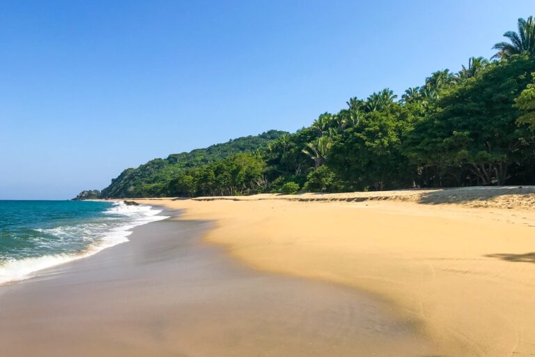 Sayulita Beaches: Complete Guide to the Area's Best