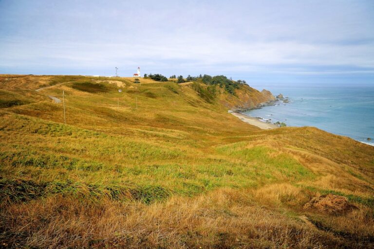 Cape Blanco State Park: Why Visit + What to Expect