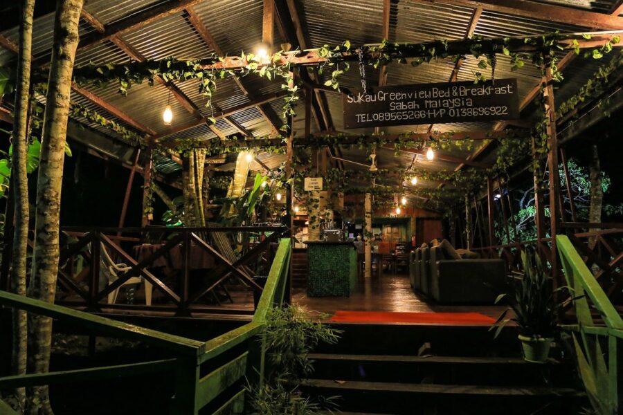 Kinabatangan River (Borneo): How to Visit + What to Expect