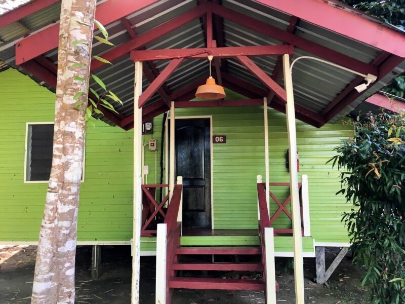 Kinabatangan River (Borneo): How to Visit + What to Expect