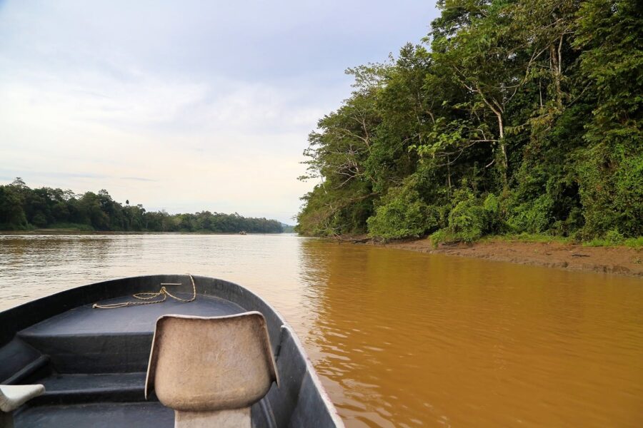 Kinabatangan River (Borneo): How to Visit + What to Expect
