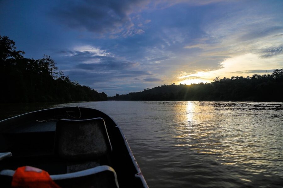 Kinabatangan River (Borneo): How to Visit + What to Expect
