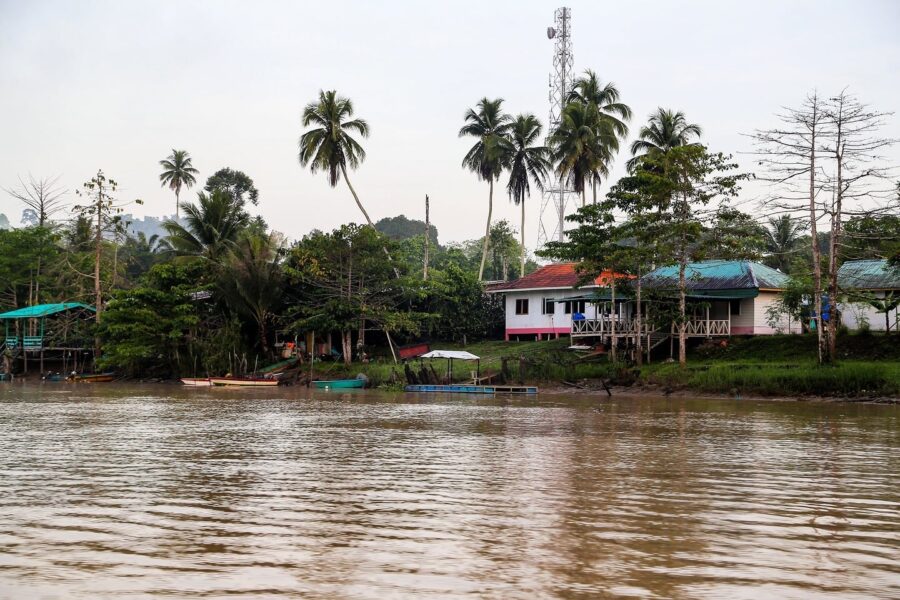 Kinabatangan River (Borneo): How to Visit + What to Expect
