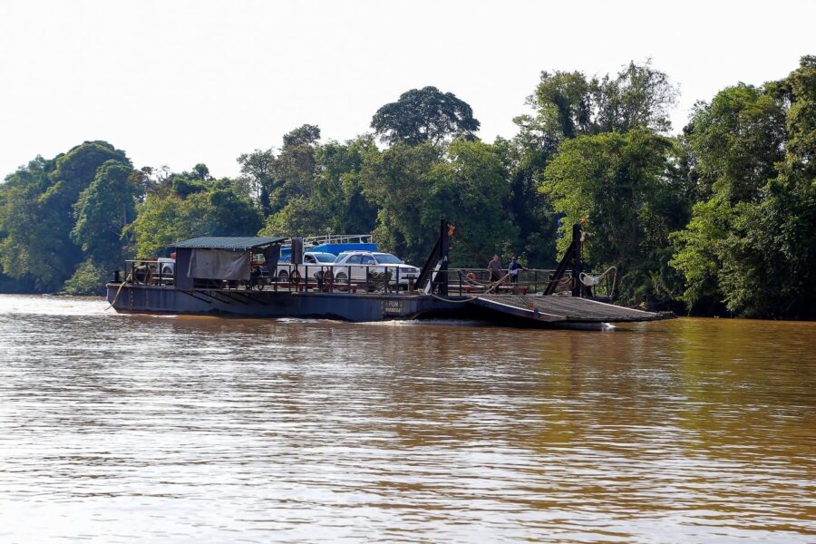 Kinabatangan River (Borneo): How to Visit + What to Expect