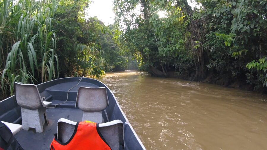 Kinabatangan River (Borneo): How to Visit + What to Expect